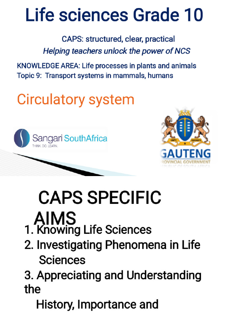 PP14. Circulatory System | PDF