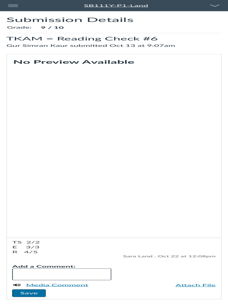 TKAM Reading Check #6 | PDF