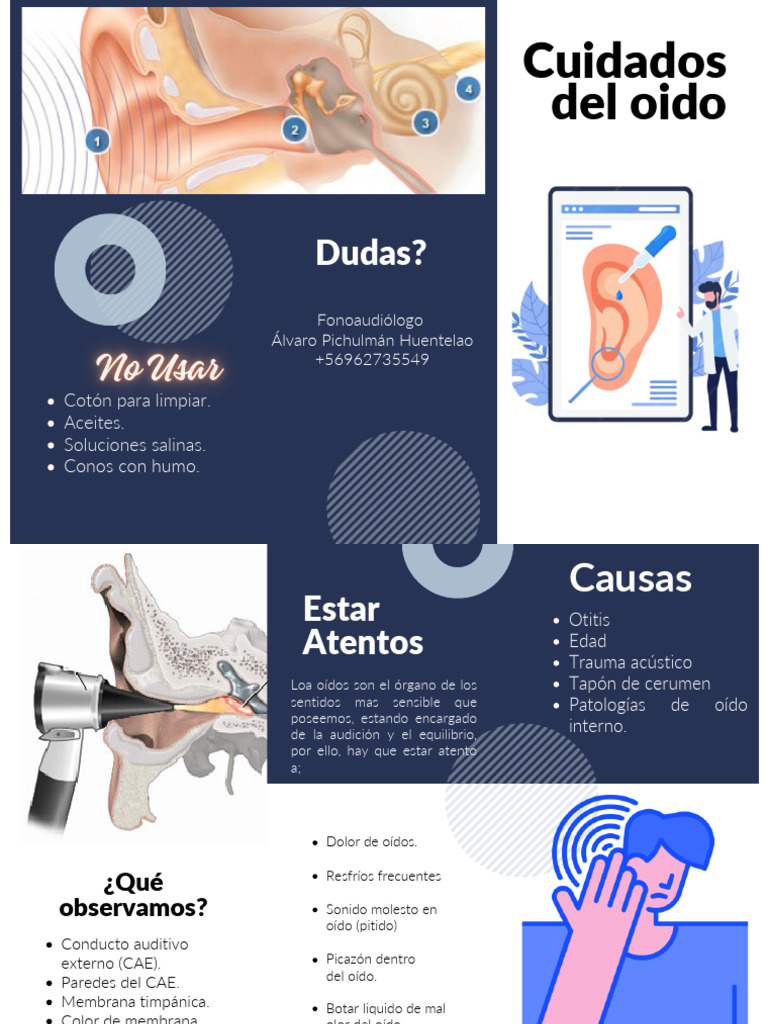 Cuidado Del Oido | PDF