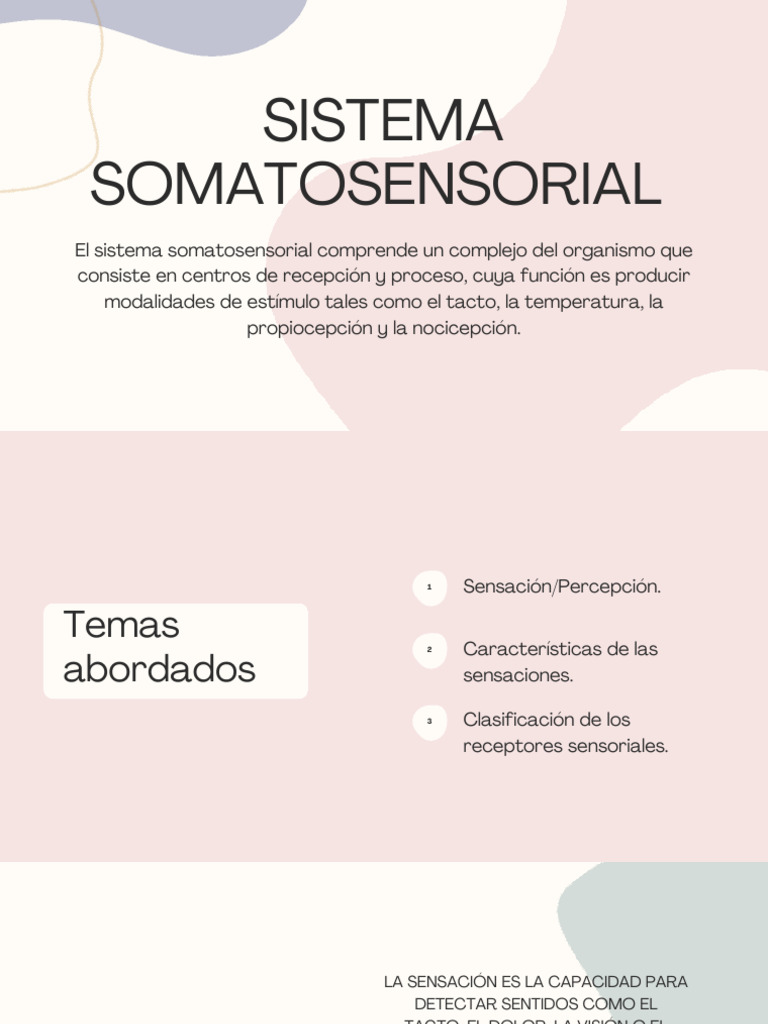 PPPT | PDF | Dolor | Sentidos