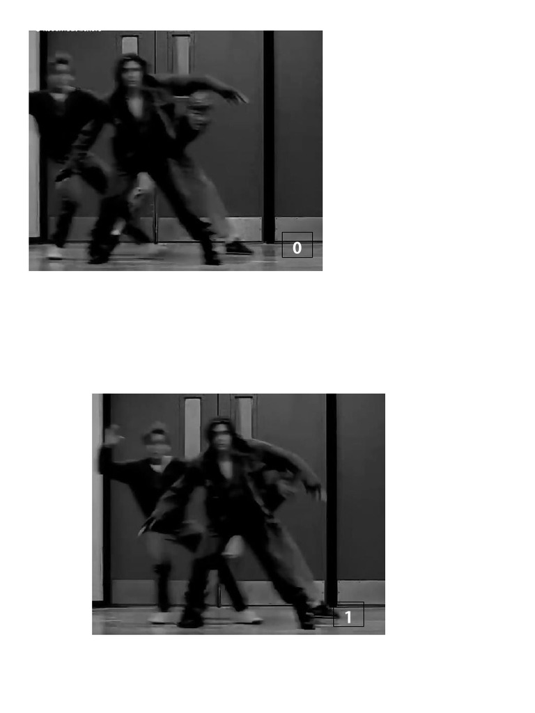 Fotograma Parte 2 | PDF