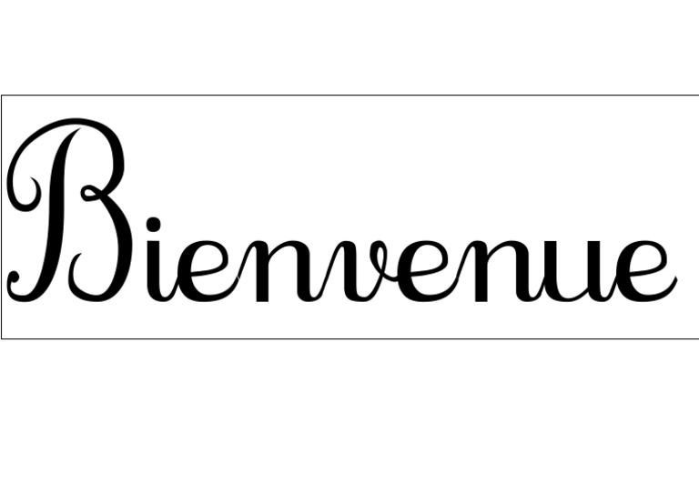 Bienvenue | PDF