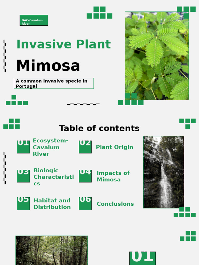 English Apresentation | PDF | Plants | Invasive Species