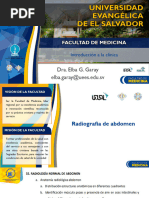 Radiografía de Abdomen y Coprostasis | PDF | Sistema urinario ...