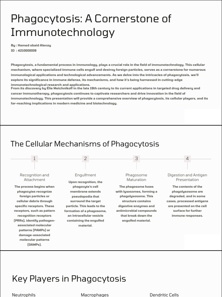 Phagocytosis A Cornerstone of Immunotechnology | PDF | Immune System ...