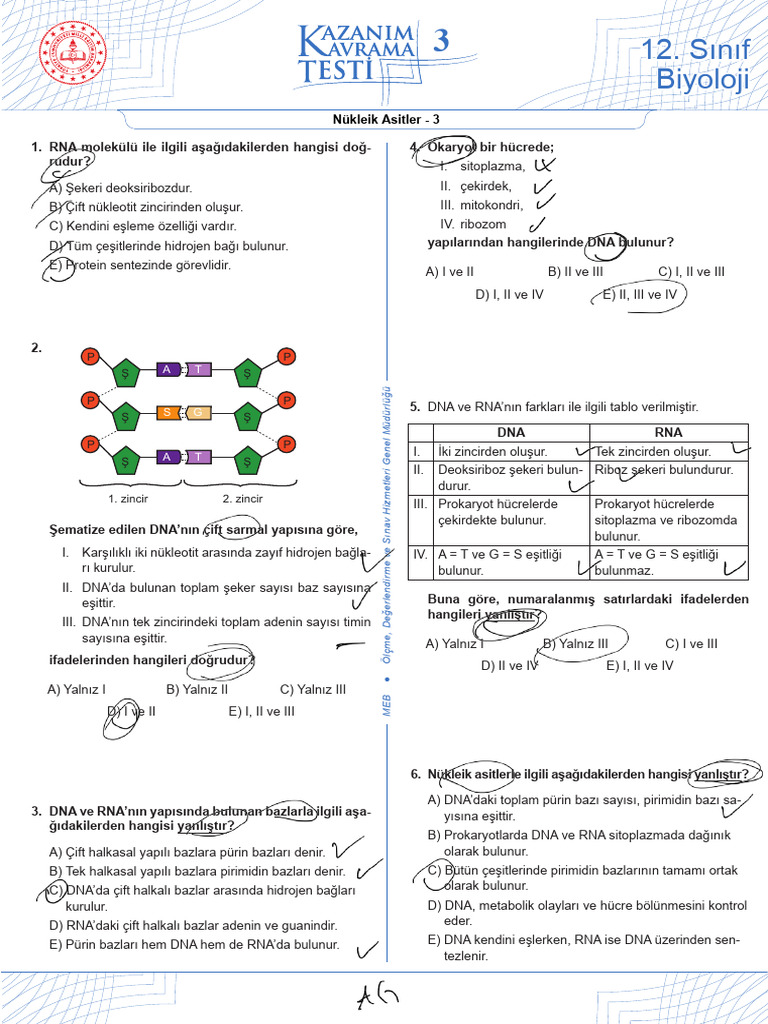 Biyoloji Meb Test | PDF