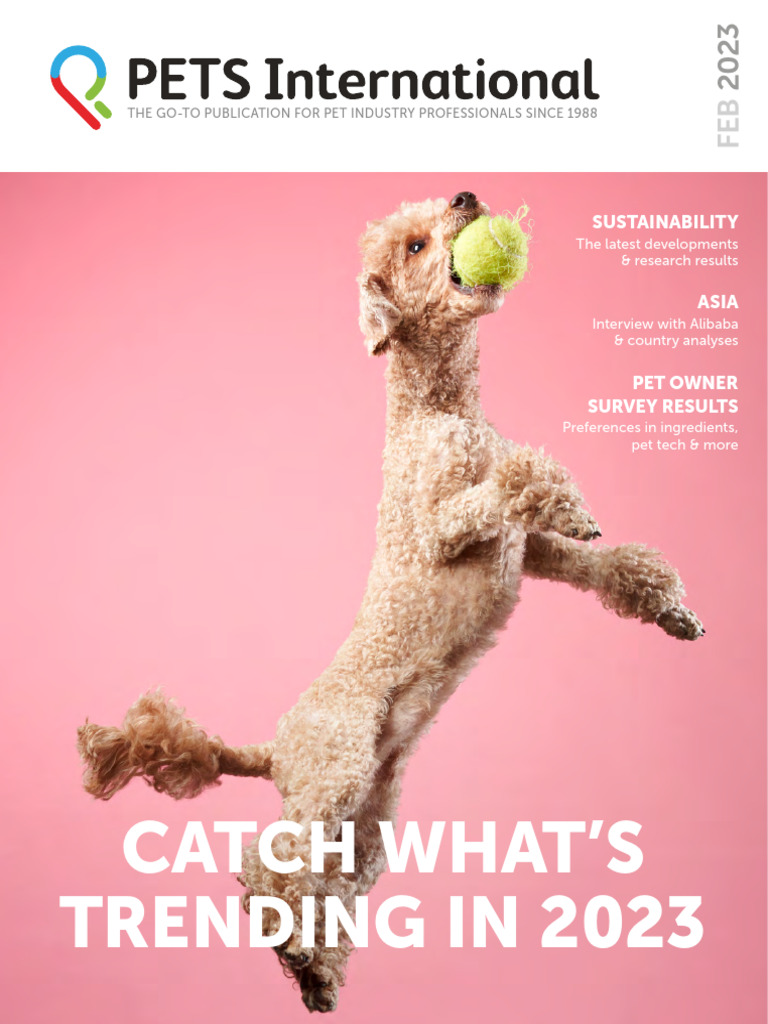 Pim 1 2023 Final | PDF | Flour