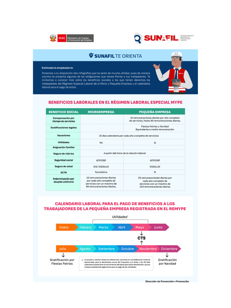 Norma Laboral Sunafil | PDF