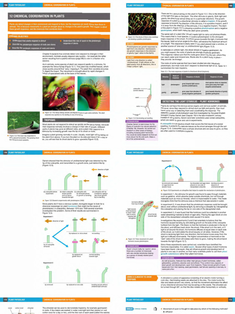Edexcel Igcse Biology Book Student | PDF | Sexual Reproduction | Plant ...