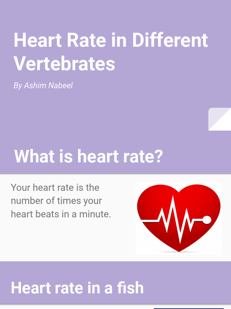 Heart Rate | PDF