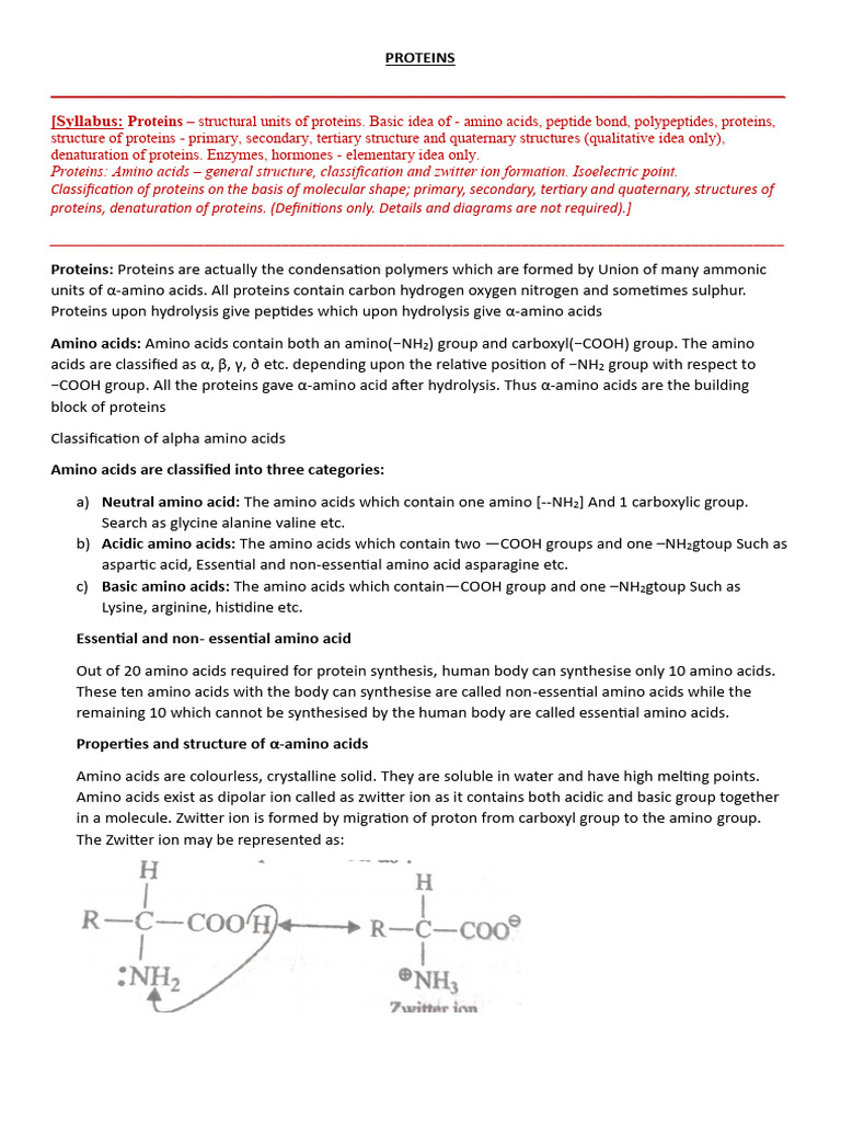 Understanding Protein Primary Structure | PDF | Amino Acid | Proteins