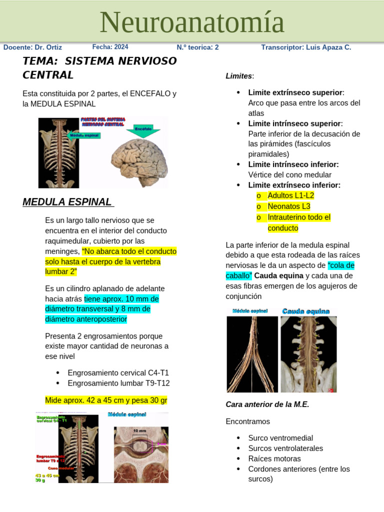 Generalidades Del SNC Video 1 | PDF | Médula espinal | Anatomía humana