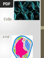 Cambridge Science 7 Teacher Resource | PDF