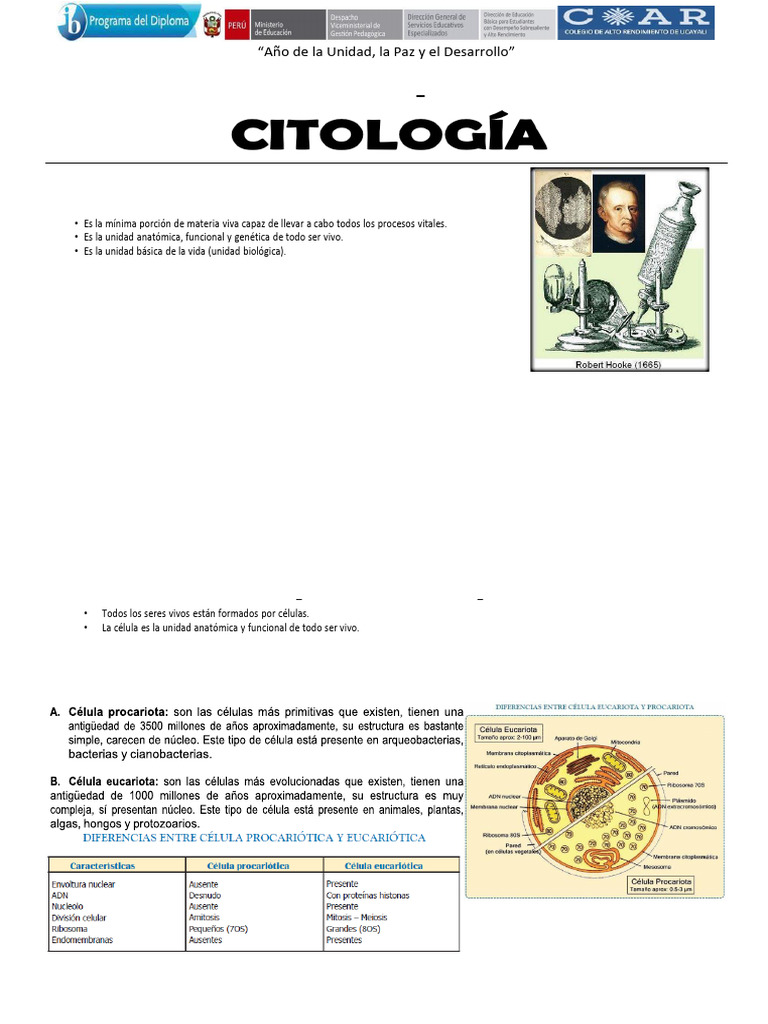 Tema 2 - Citología - Prua Biología 2023 | PDF | Biología Celular ...