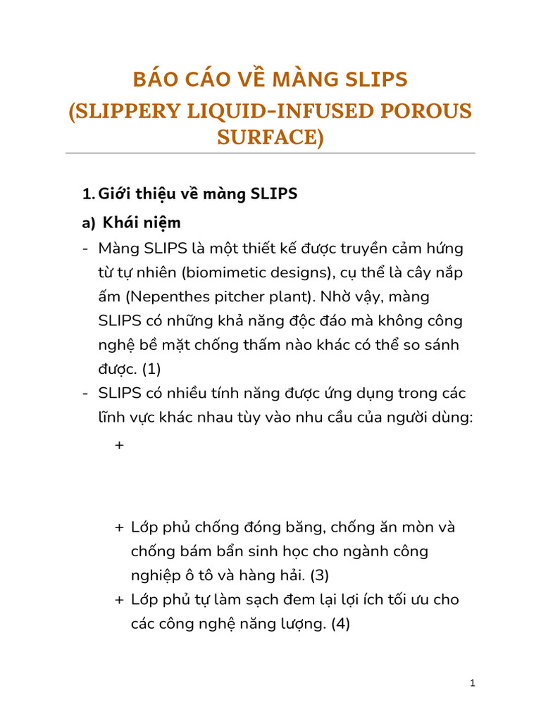 SLIPS | PDF