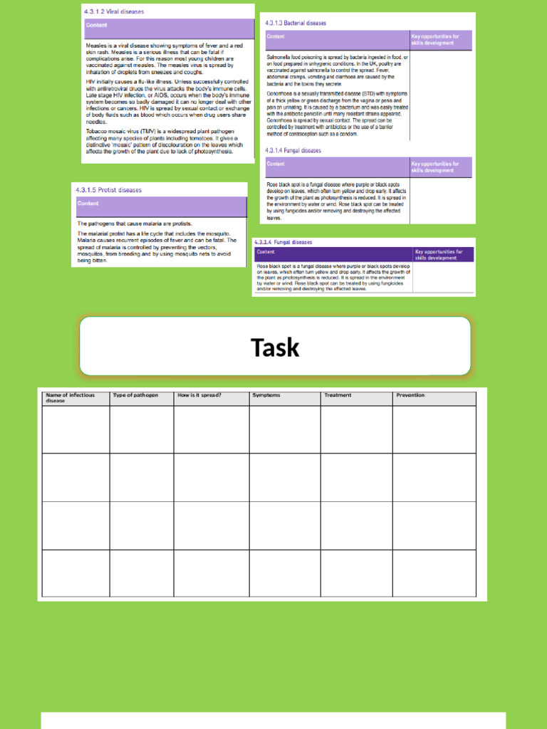 Infectious Diseases Student Homework | PDF | Infection | Virus