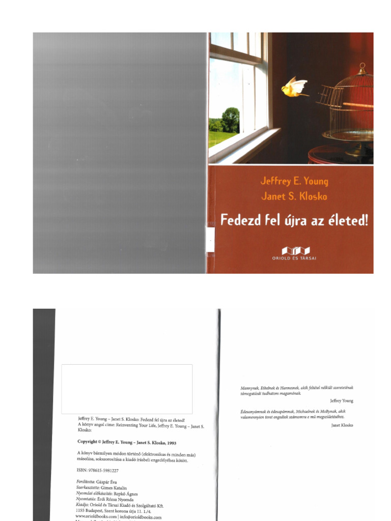 Young, Klosko - Fedezd Fel Ãºjra Az Ã©leted | PDF