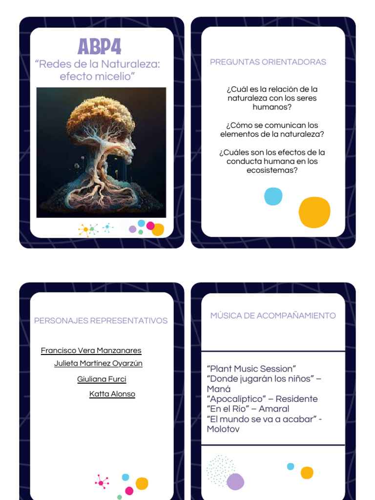 Abp 4 2024 Enseñanza Media | PDF