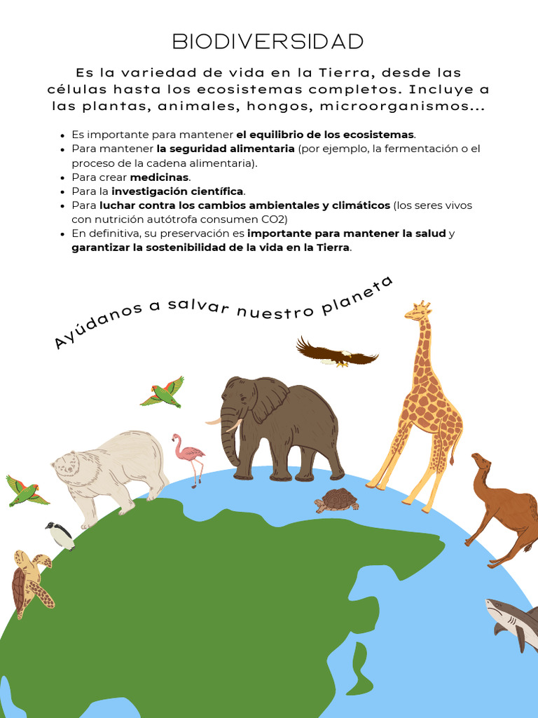 Bio Divers I Dad | PDF