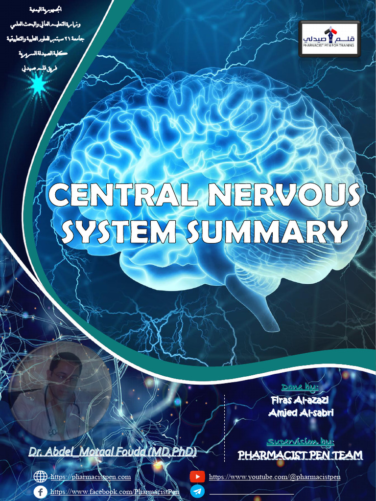 CNS-Summary Video 13 | PDF