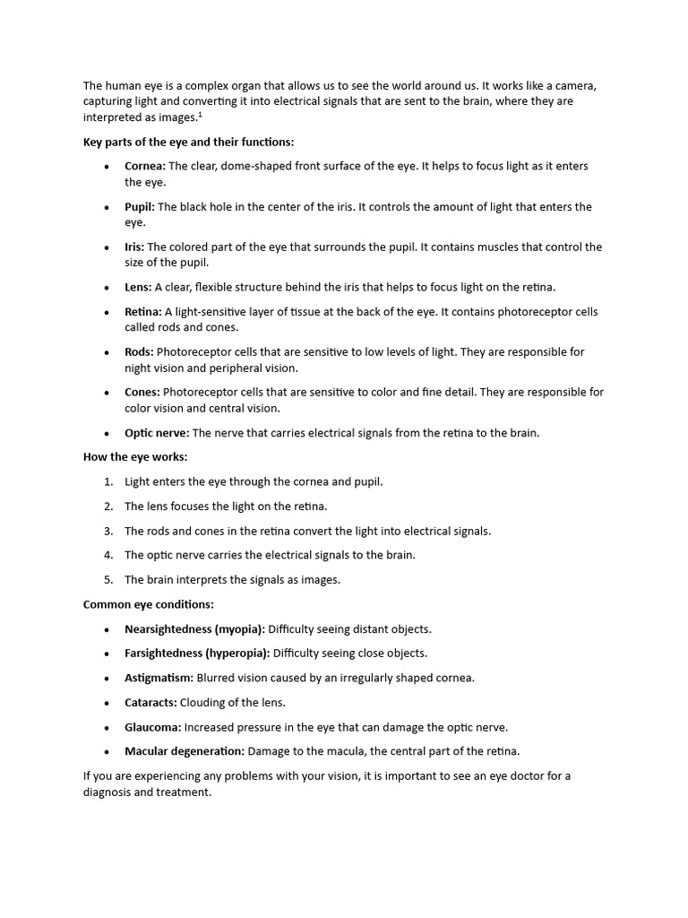 The Human Eye Is A Complex Organ That Allows Us To See The World Around ...