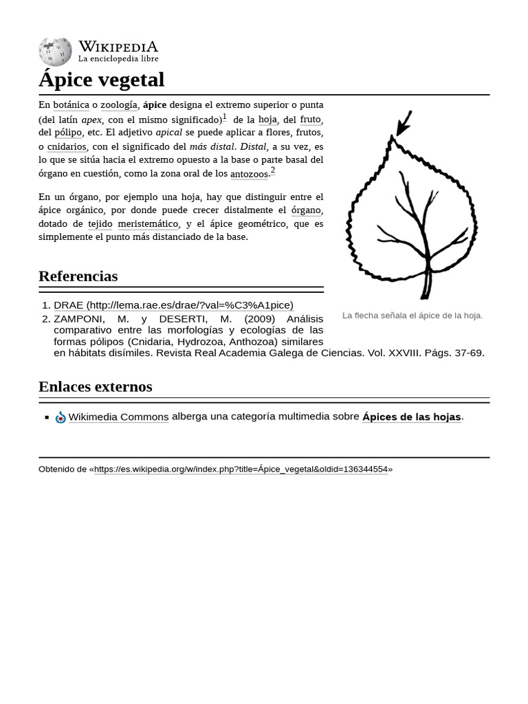 Ápice Vegetal | PDF