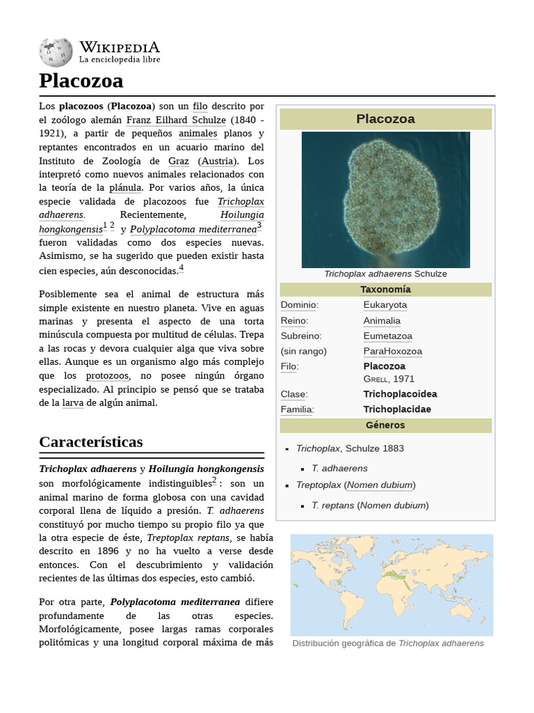 Placozoa | PDF | Phyla animal | Animal Taxa
