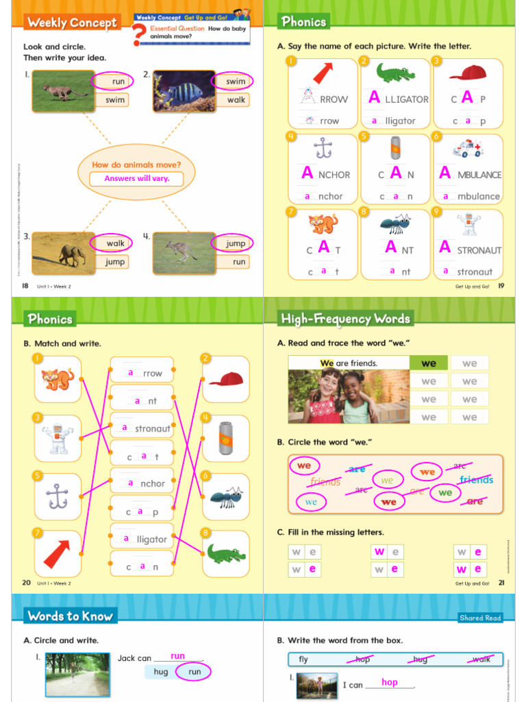Activity and Animal Patterns | PDF
