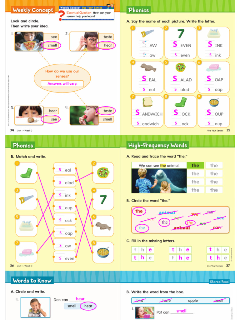 Sensory Perception Activities for Kids | PDF