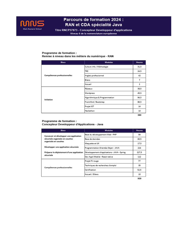 Programme RAN Et CDA Java - 2024 | PDF | Informatique | Ingénierie informatique