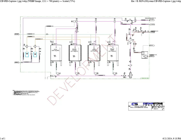 CIP PID Capture 1 | PDF