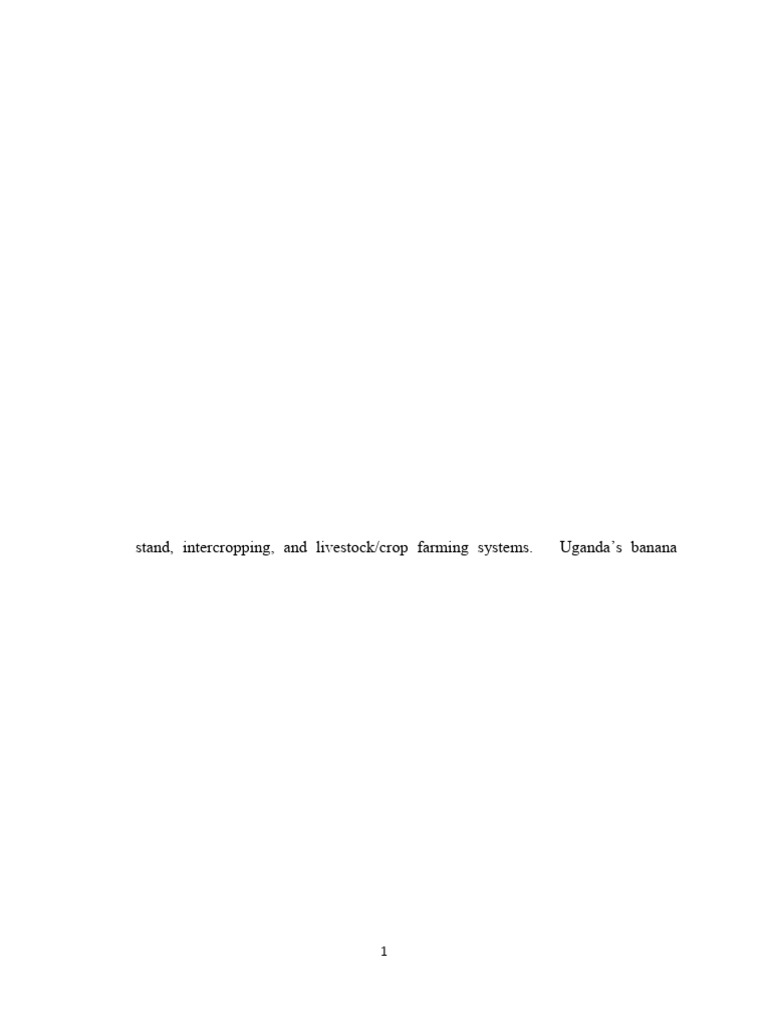 Banana Production Guide A Importance of | PDF | Agriculture | Plants