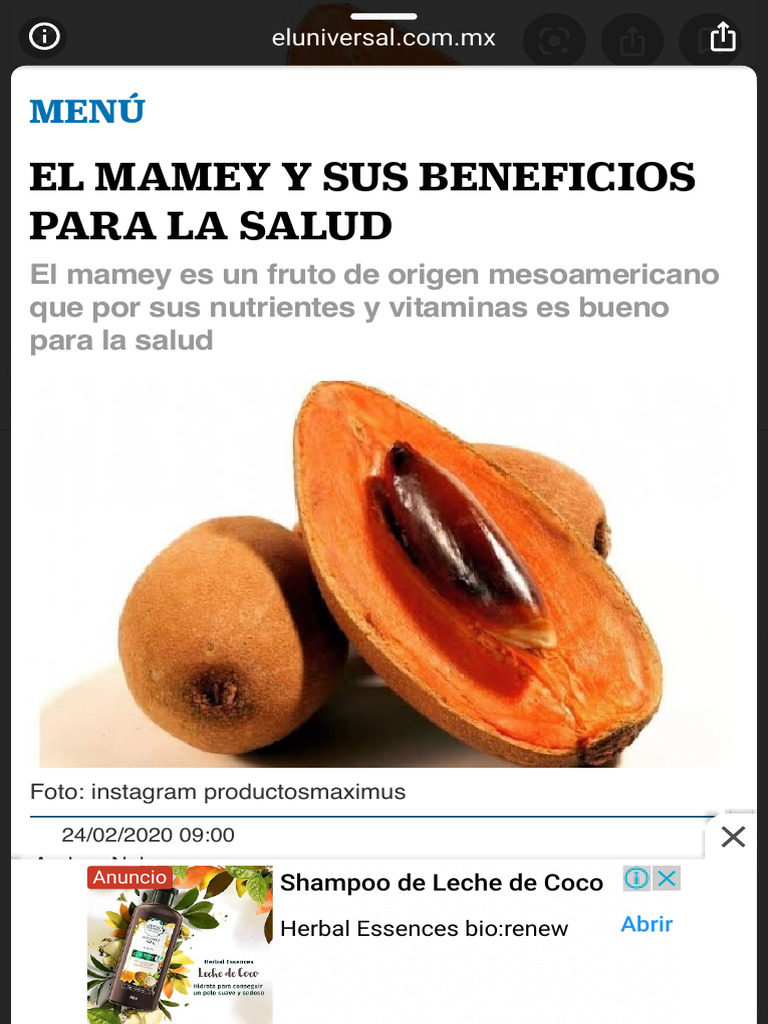 Qué Es El Mamey Usos, Propiedades y Beneficios A La Salud | PDF