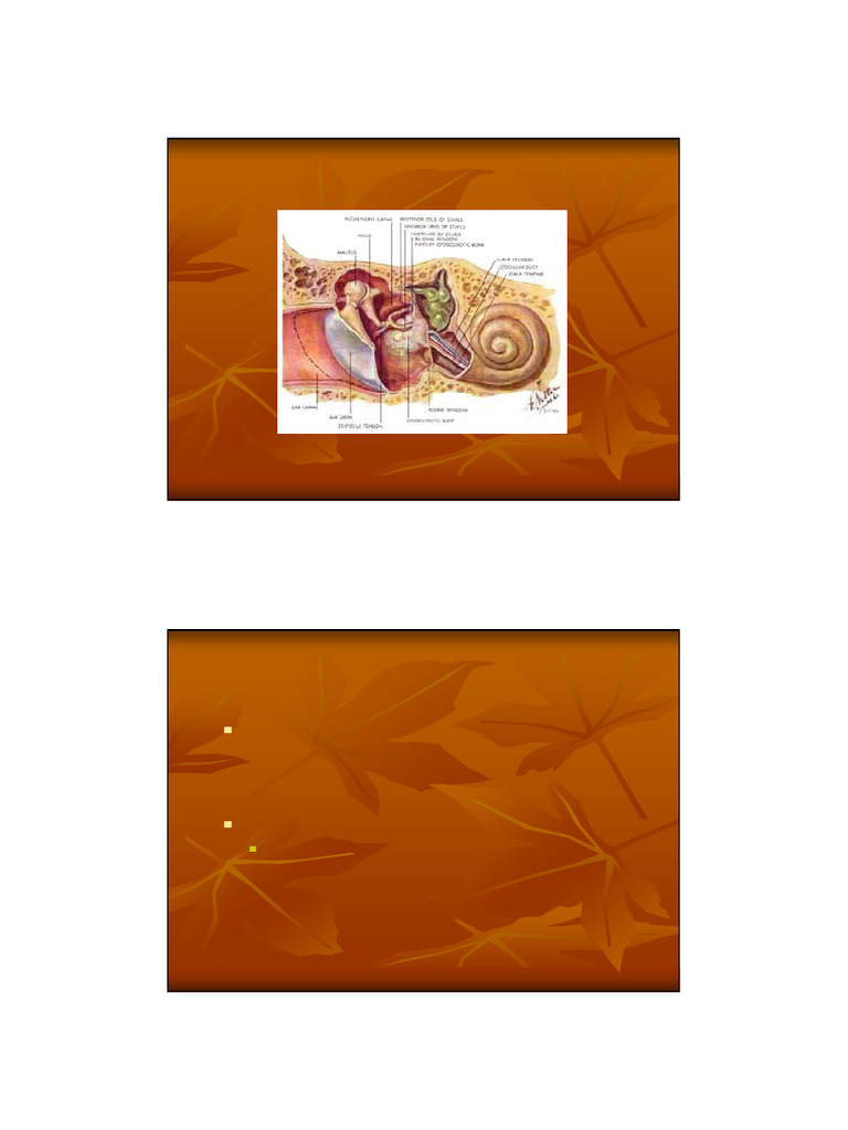 Otosclerosis (Prof. Mokhtar Bassiouny) | PDF | Human Head And Neck ...