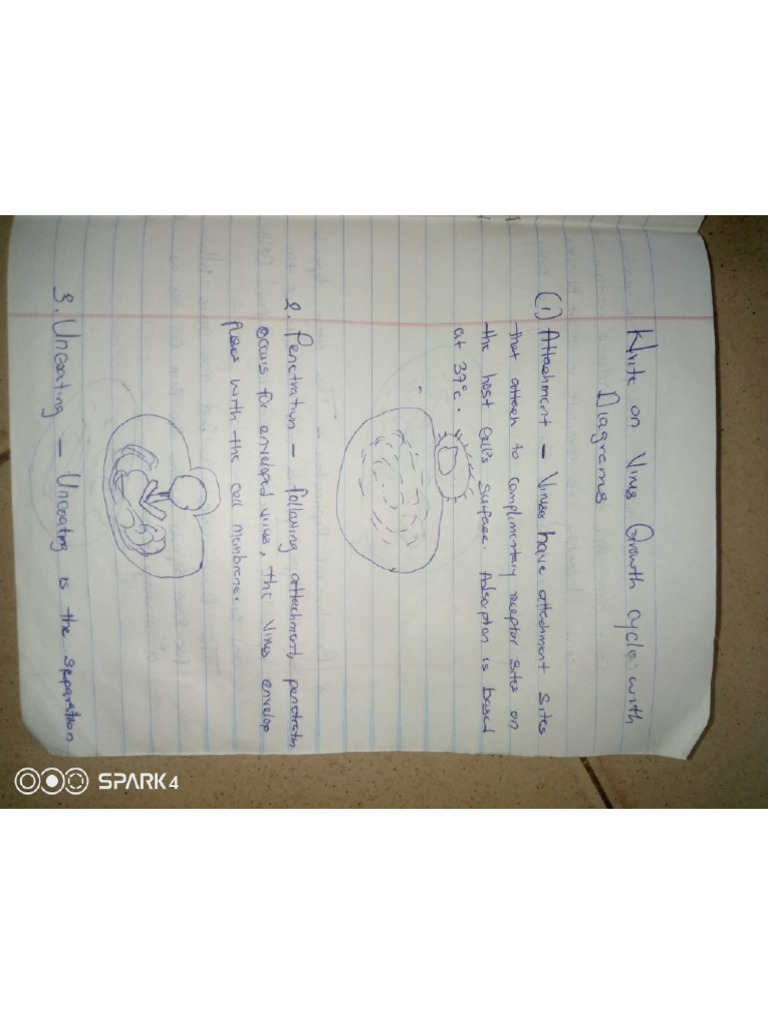 MBL 221 (Elite's MBL Note) | PDF