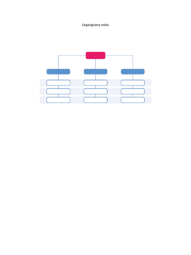 Organigrama Mixto | PDF