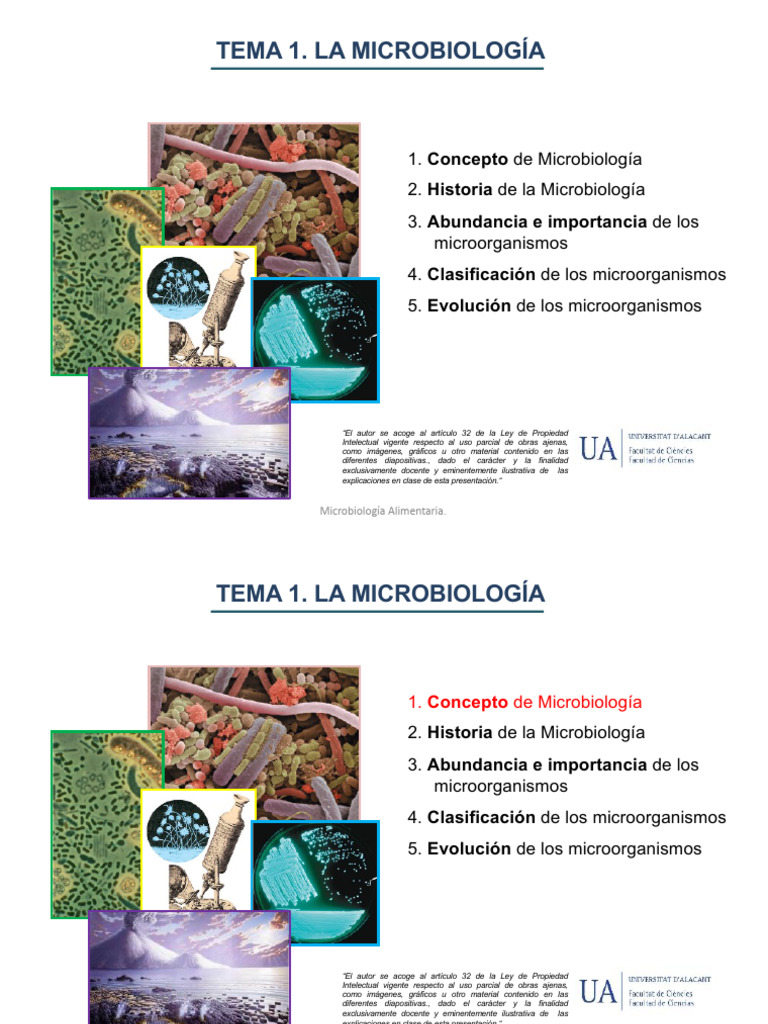 Tema 1 MICROBIOLOGÍA INTRODUCCIÓN | PDF | Microorganismo | Microbiología