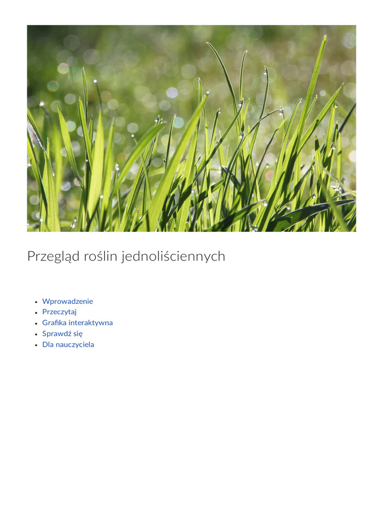 Przeglad Roslin Jednolisciennych | PDF Przeglad Roslin Jednolisciennych | PDF
