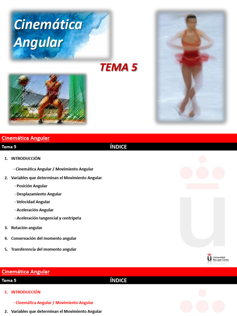 TEMA 5. Cinemática Angular | PDF | Cinemática | Aceleración