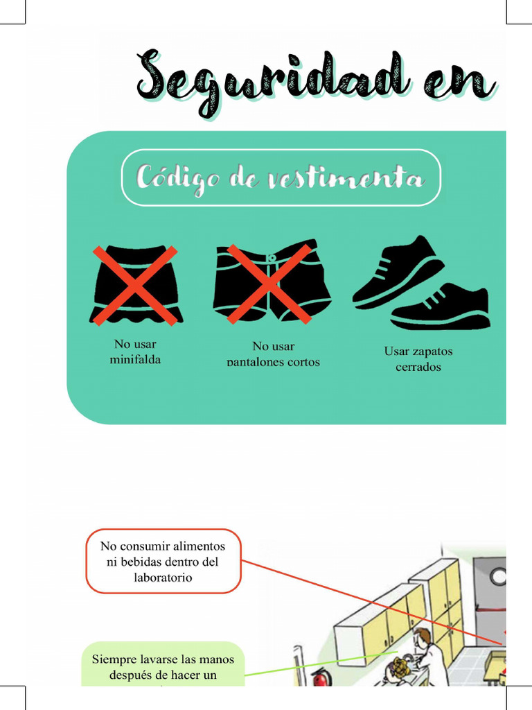 Poster de Las Medidas de Seguridad en Un Laboratorio | PDF