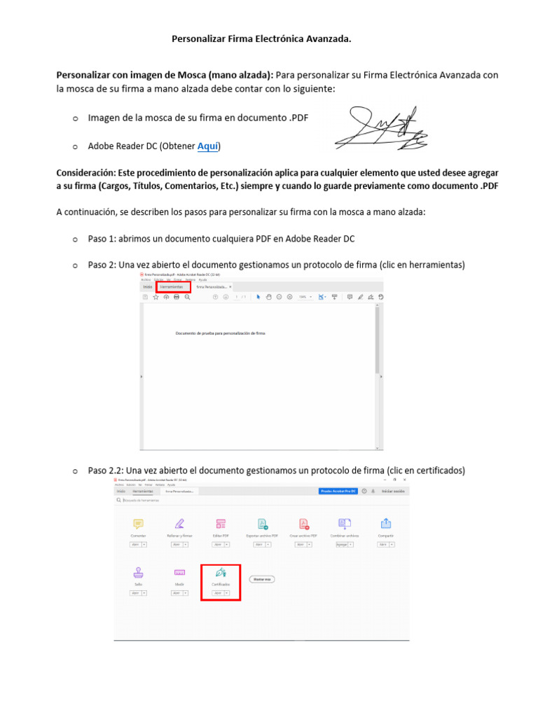 Personalizar Firma Electrónica Avanzada | PDF