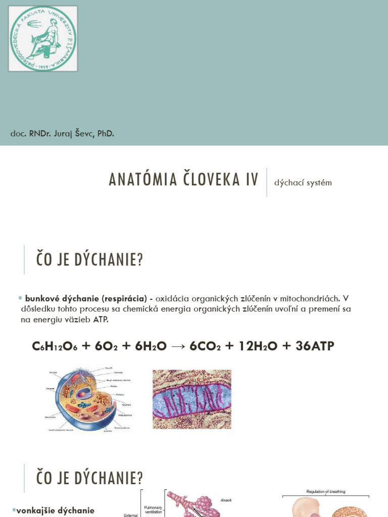 Dychaci System 2024 | PDF