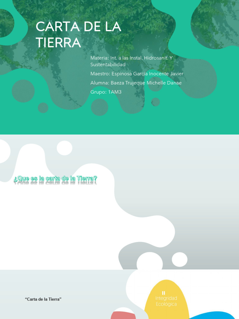 Ensayo Carta de La Tierra Baeza Trujeque Michelle Danae 1am3 | PDF