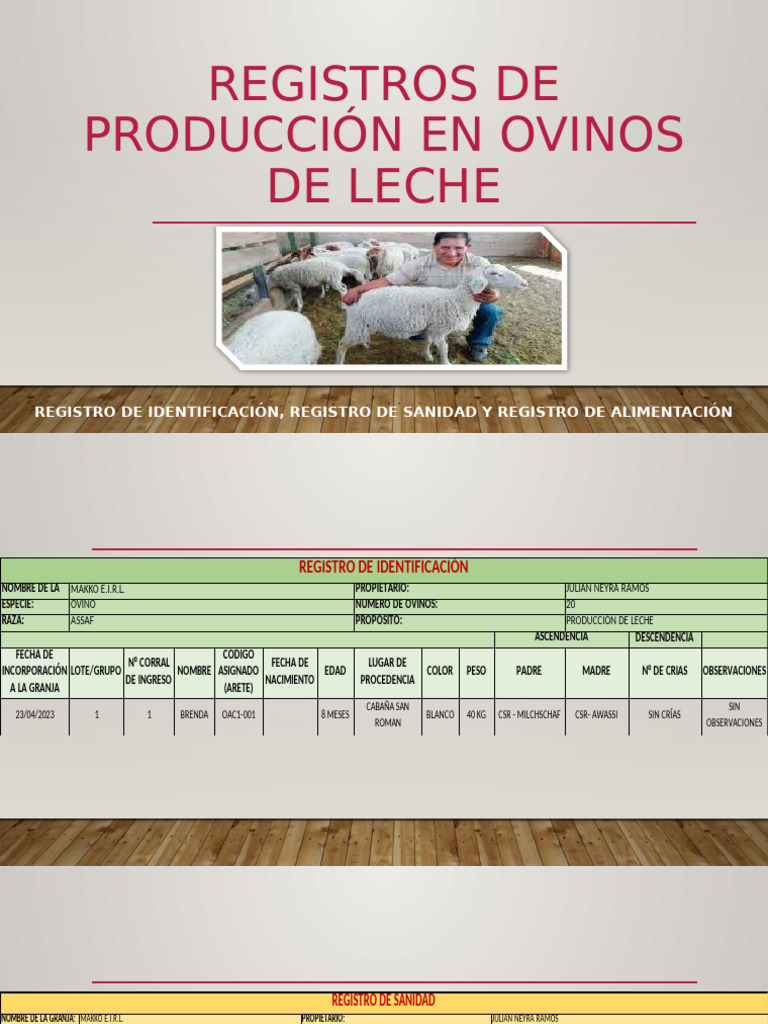 Registros de Seleccion en Bovinos | PDF | Oveja