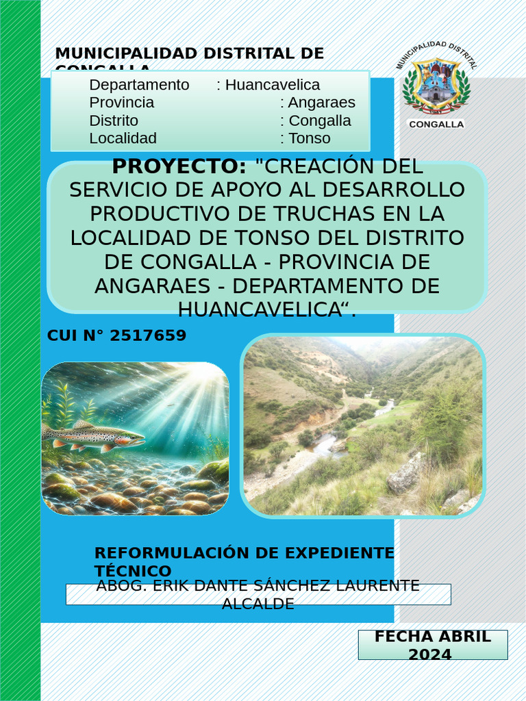 Caratula de Tonso Reformulacion | PDF