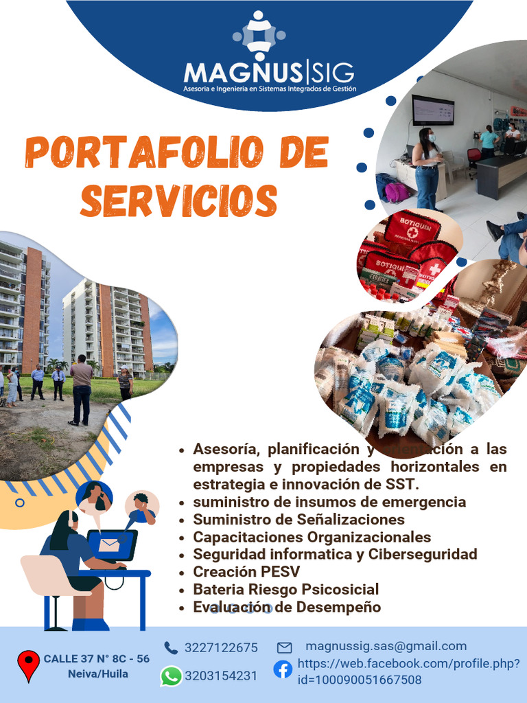 Portafolio de Servicio | PDF