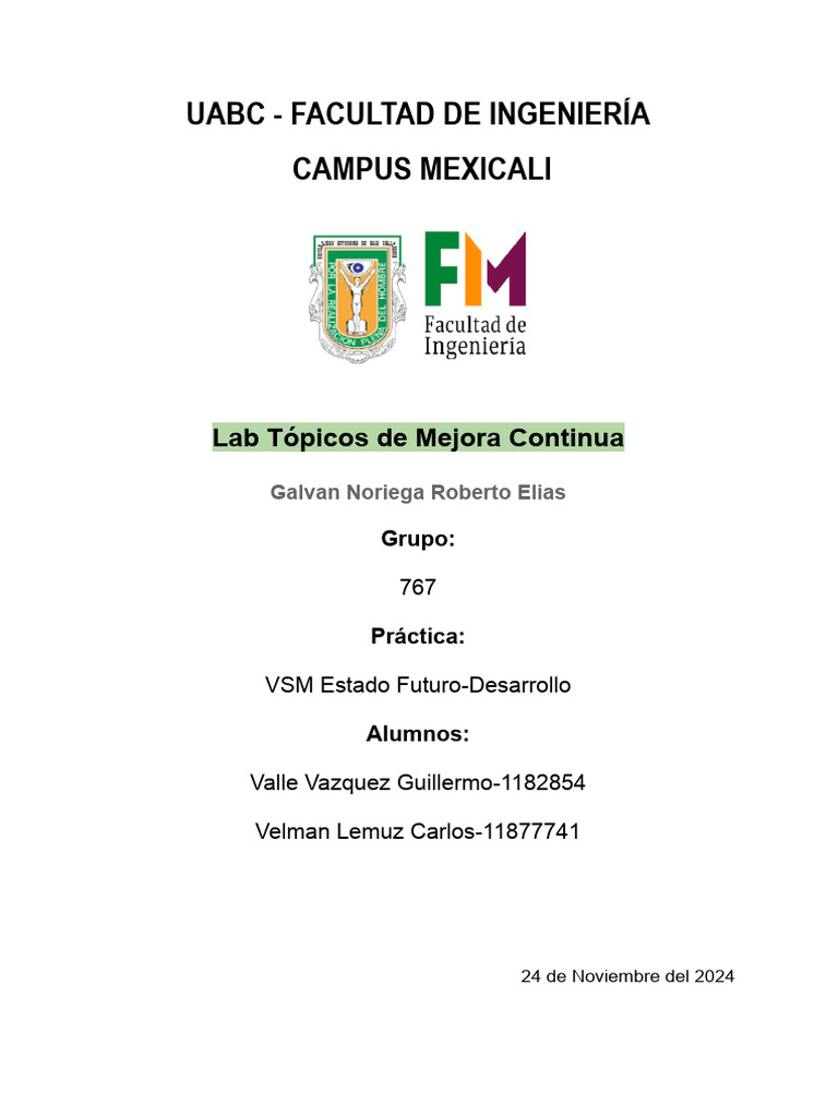 VSM Estado Futuro-Desarrollo | PDF