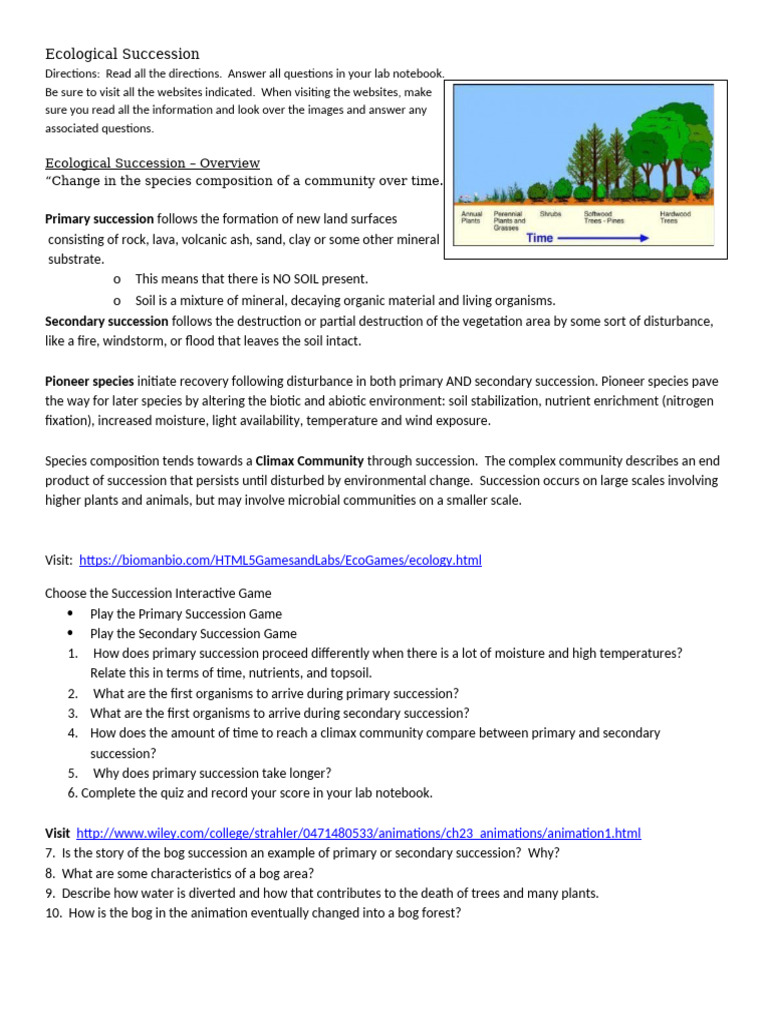 Ecological Succession Webquest 2019 | PDF | Soil | Disturbance (Ecology)