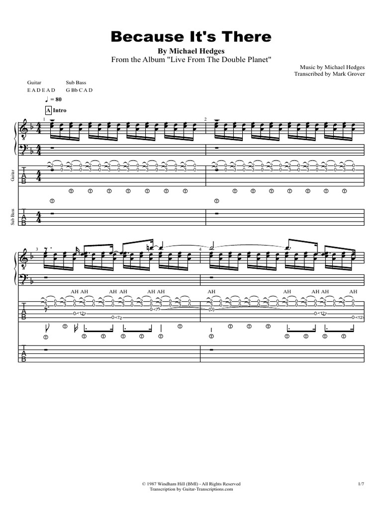 Because It's There - Michael Hedges | PDF