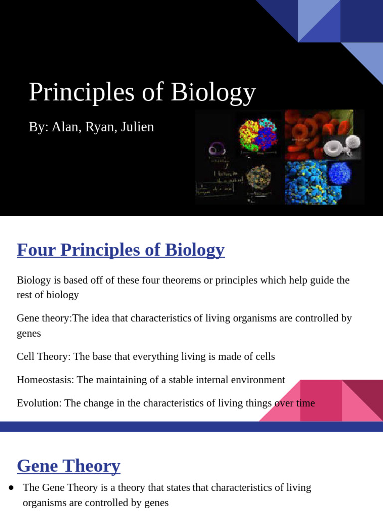 Four Core Principles of Biology | PDF | Life | Evolution